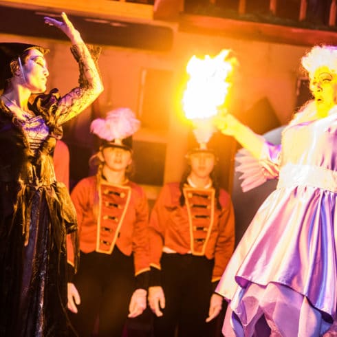 Pantomime - South Hill Park Arts Centre