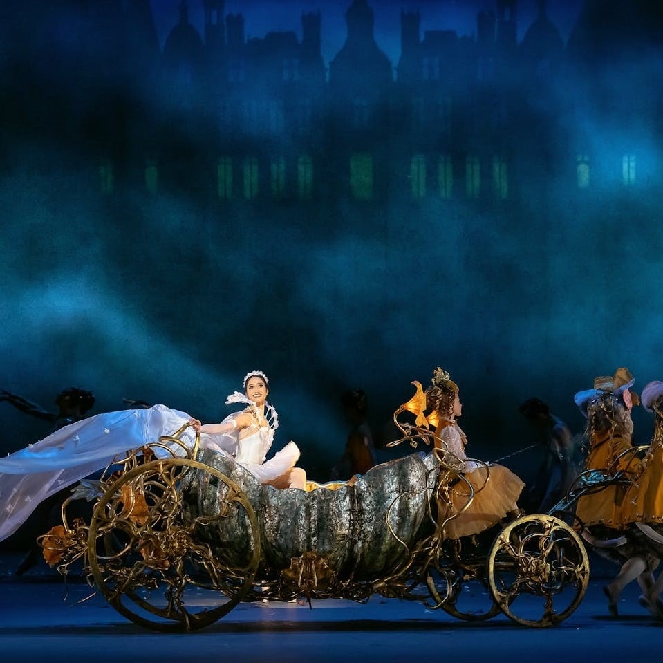 Films & Live Screenings - South Hill Park Arts Centre